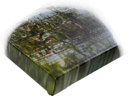 How We Digitally Stretch Our Gallery-Wrap Edges Before Printing | Bee ...